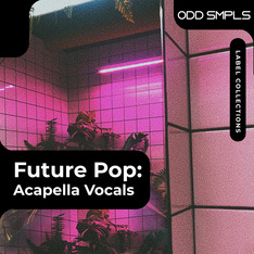 Sample Packs & Music Loops on Subscription | Loopcloud