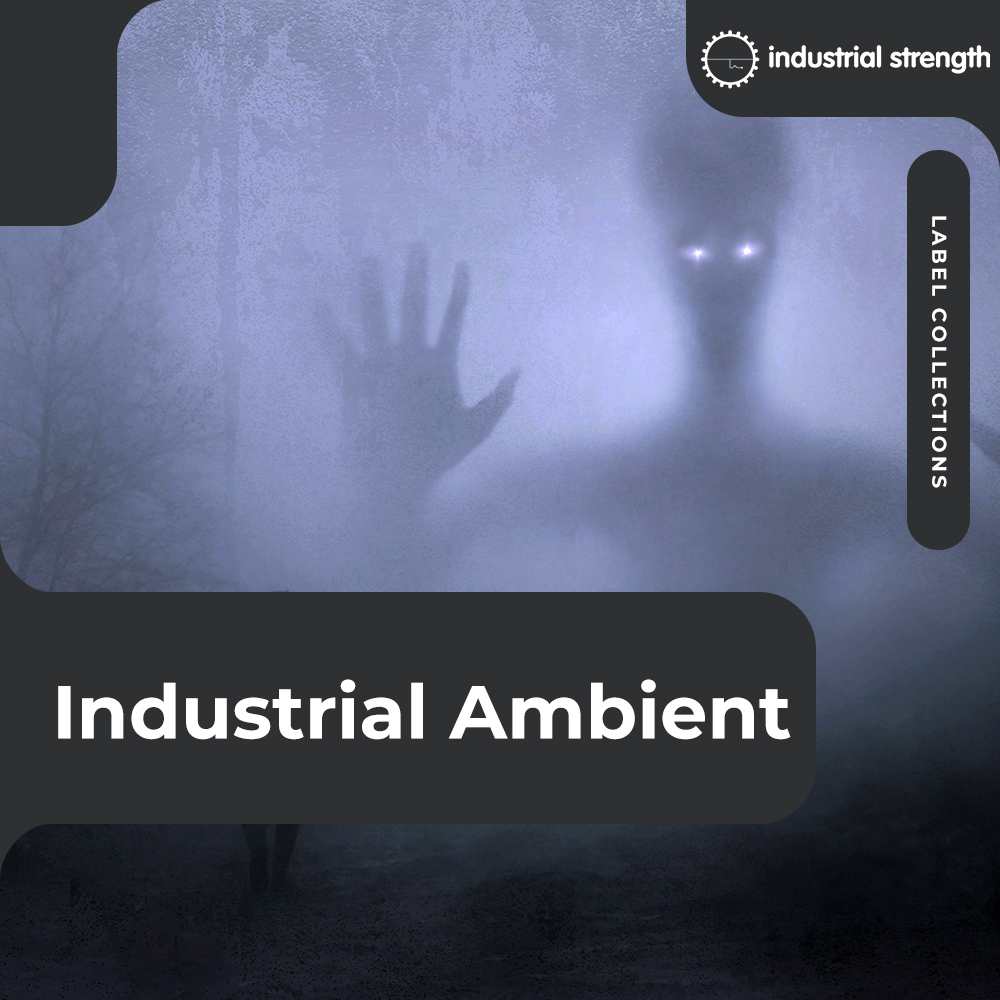 Sample Packs & Music Loops on Subscription | Loopcloud